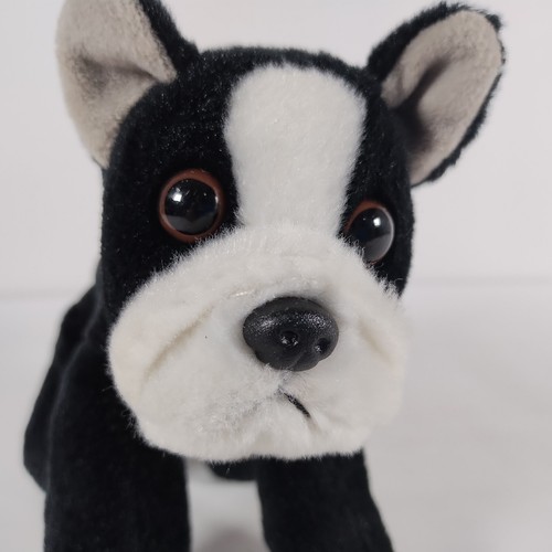 Boston Terrier Aurora Bean Bag Plush Stuffed Animal Soft Toy | eBay