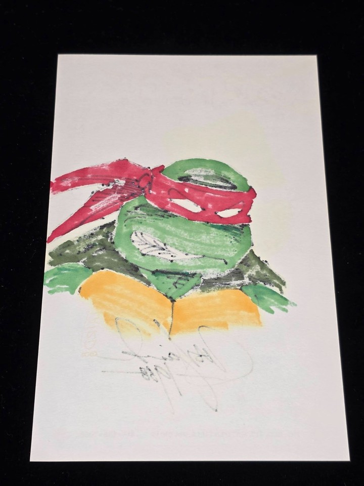 TEENAGE MUTANT NINJA TURTLES ORIGINAL ART MIRAGE STUDIOS 1988 PETER ...