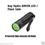 Bay Hydro Plant Safe Super Bright GREEN LED Torch FlashLight Will Not ...