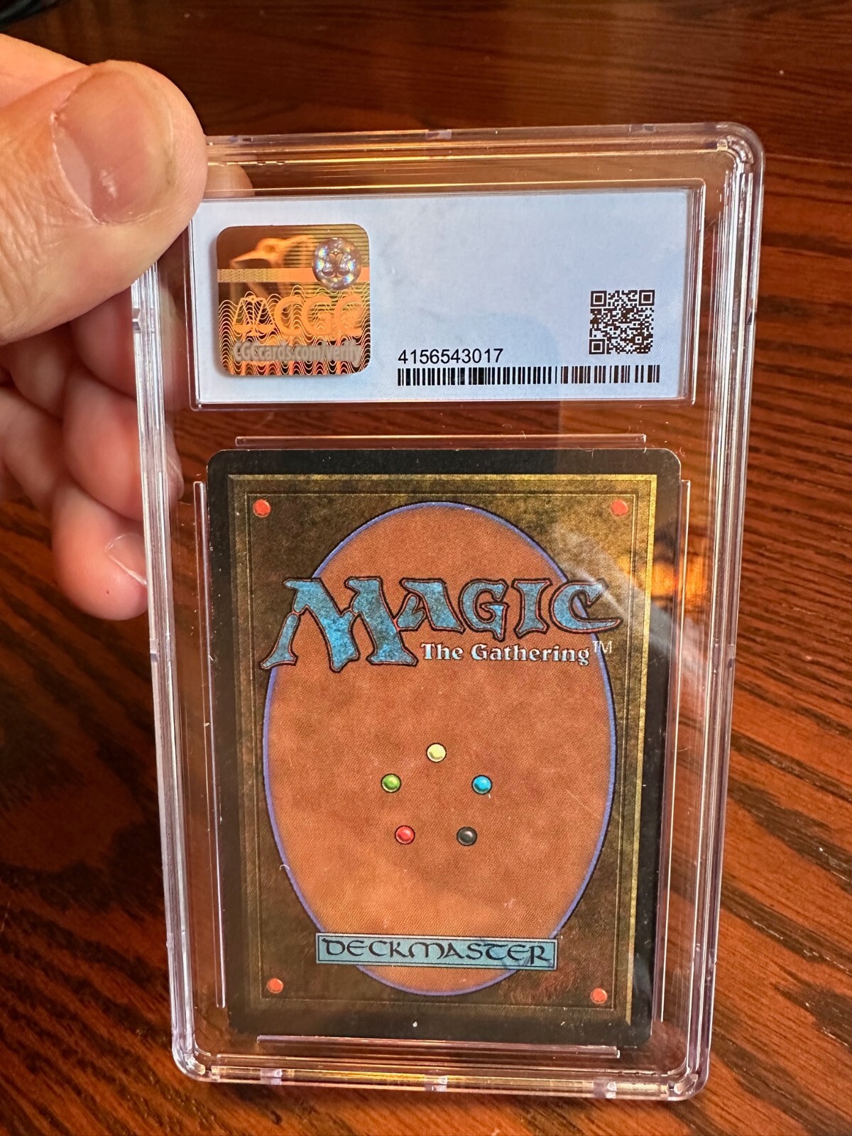 MTG Earthbind Revised Edition Regular Common for sale online | eBay