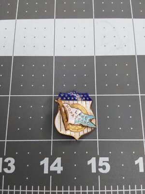 n Lake Hopatcong New Jersey Flag Pennant Shield Pin | eBay