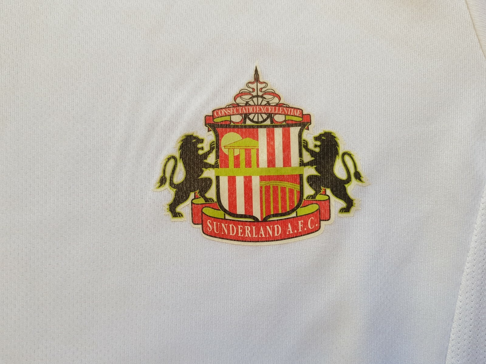 Sunderland AFC Official Merchandise Training Top T-Shirt Jersey Youth ...