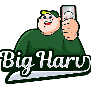 Big Harv Cards | eBay Stores
