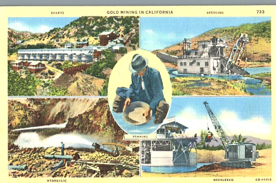Gold Rush Vintage Postcards