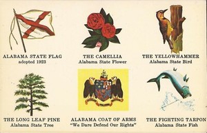 ALABAMA - State Flag, Flower, Bird, Tree, Coat of Arms, Fish | eBay