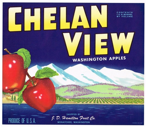 ORIGINAL CHELAN VIEW RARE VERSION APPLE CRATE LABEL WENATCHEE ...