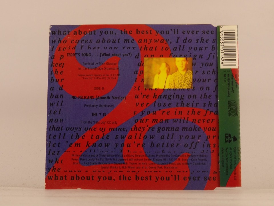 29 PALMS TEDDY'S SONG (WHAT ABOUT YOU?) (L11) 3 Track CD Single along ...