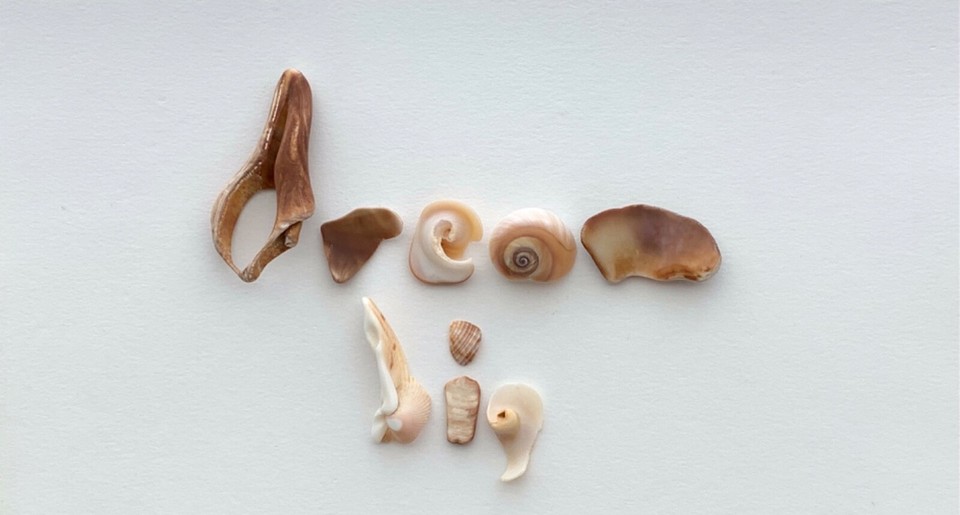 DREAM BIG Shell Letters Beach Seashells Word Sign Natural Fragment art ...