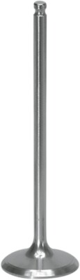 Xceldyne Intake Valve (1mm Oversize) - Titanium XIVM13001 | eBay