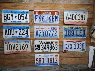 Variety Pack of 10 expired 2013 Mixed State Craft License Plate Tags ...