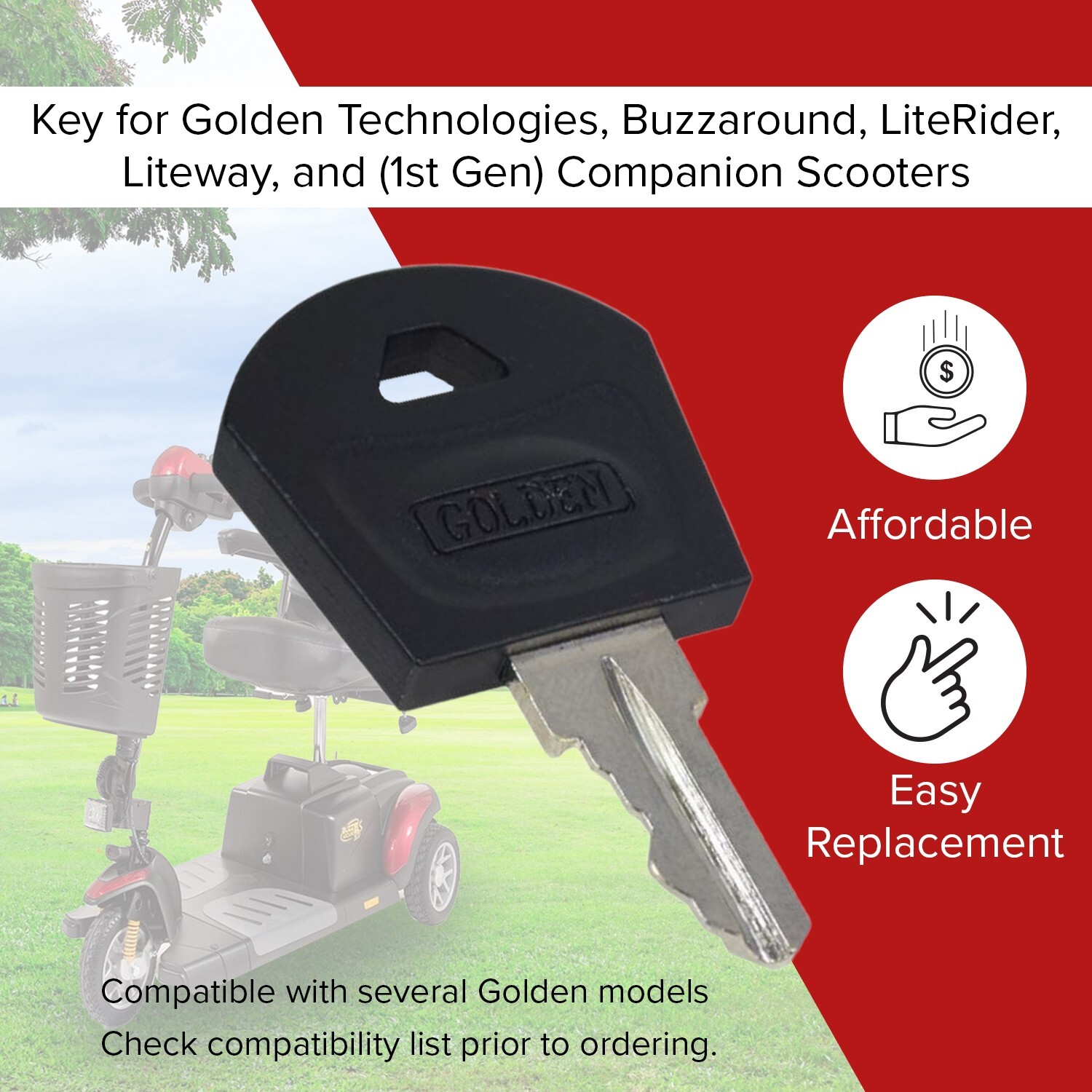Key for Golden Companion and Buzzaround Scooters (Model/Year Specific ...