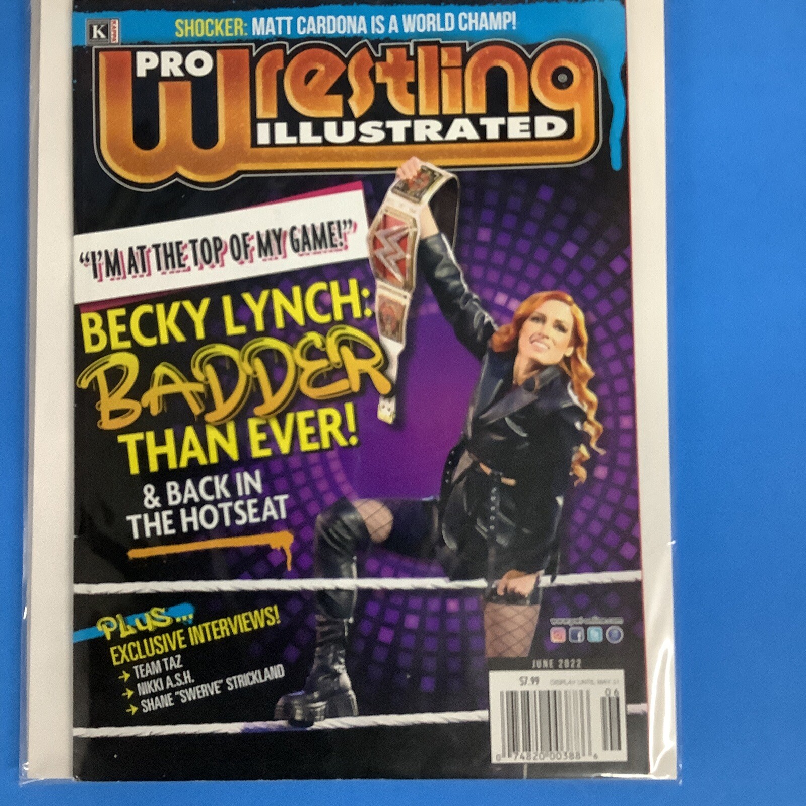 1980s Wrestling Magazine Lot 21 Issues Flair Sting Hogan Rich Windham ...
