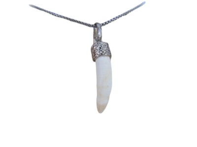 Huge Alligator Tooth Gator Pendant Animal Necklace Animal Bone Jewelry N4860 | eBay