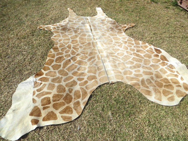 BIG UNIQUE ! NEW GIRAFFE COWHIDE SKIN Rug Print Printed steer COW HIDE ...