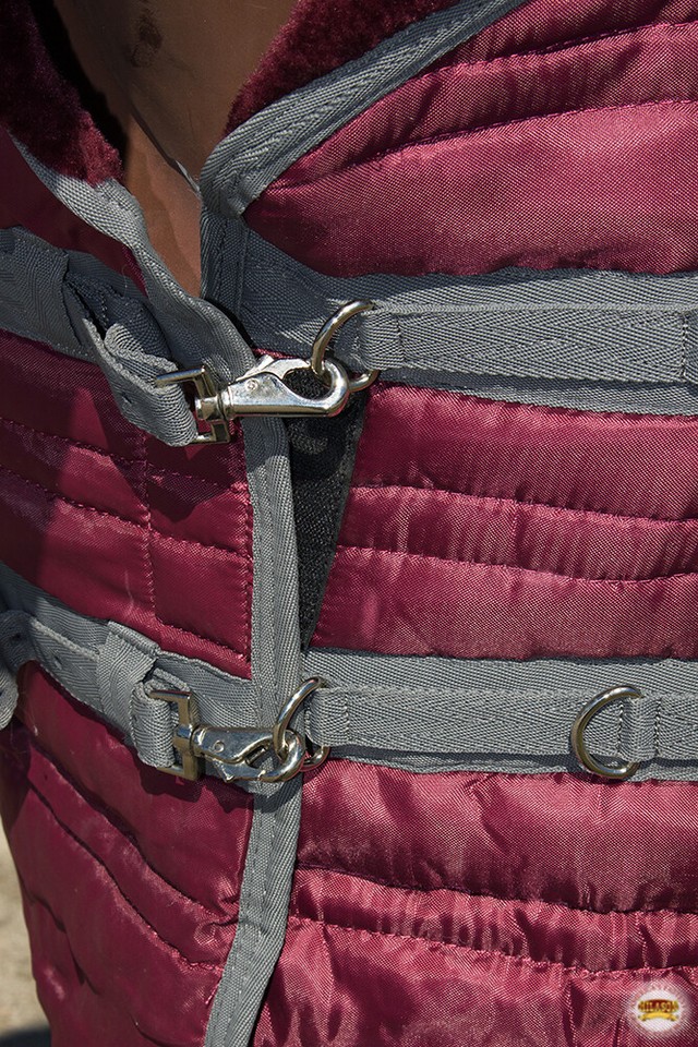 HI HILASON Western Horse Stable Turnout Blanket Quilted Wine | eBay