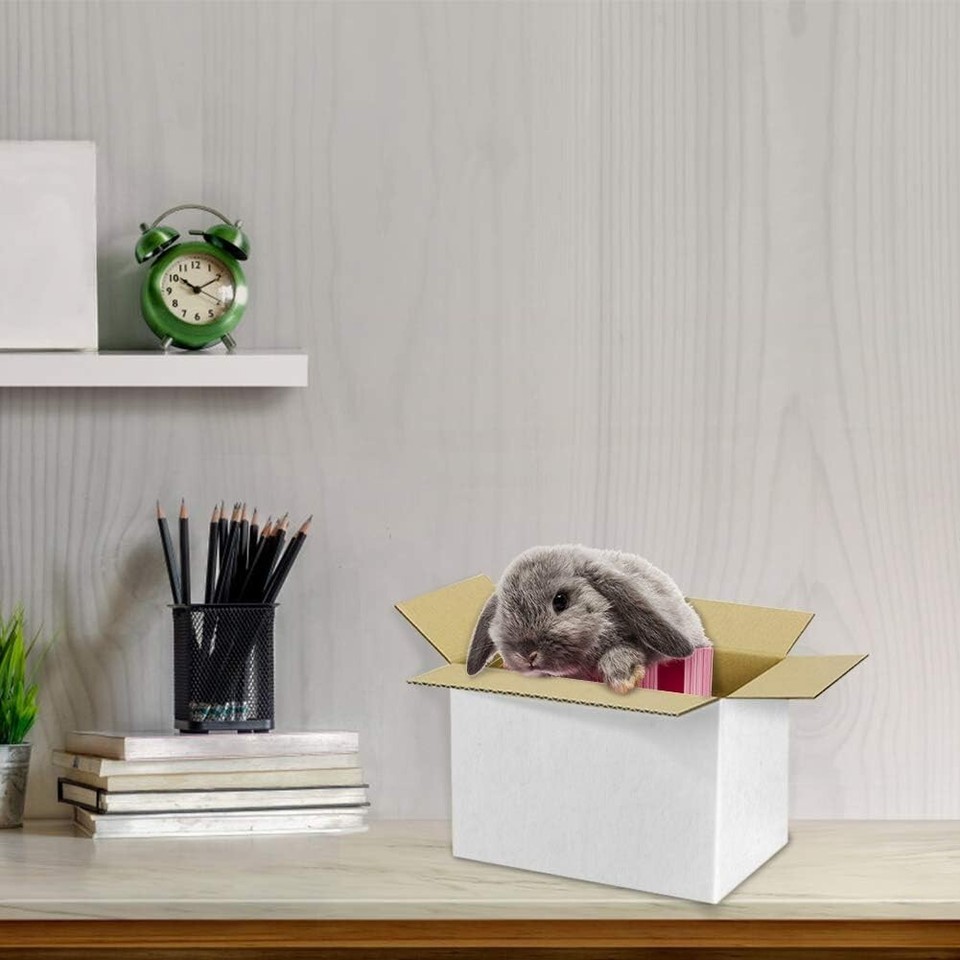 Recycled Cardboard Shipping Boxes 8x6x4 for Gifts and Retail Packing ...