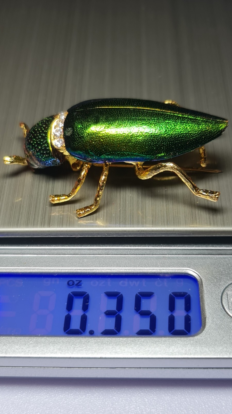 Thai Handcrafted Green Elytra Beetle Pin Brooch Real Sternocera ...