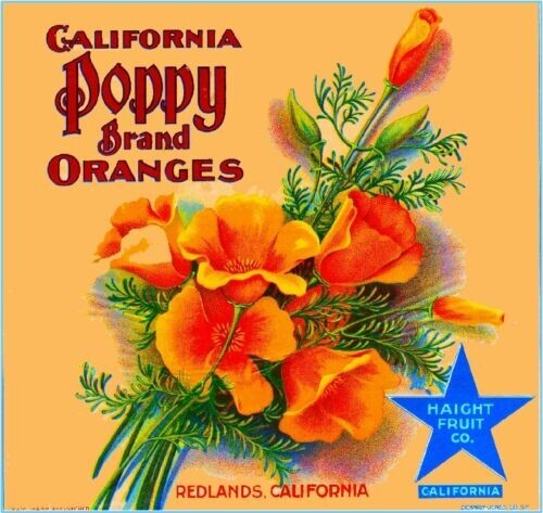 Poppy Brand Oranges Redlands California Citrus Retro Fruit Crate Label ...