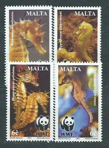 Malta - Posta 2002 Yvert 1177/80 ** Mnh Fauna | eBay