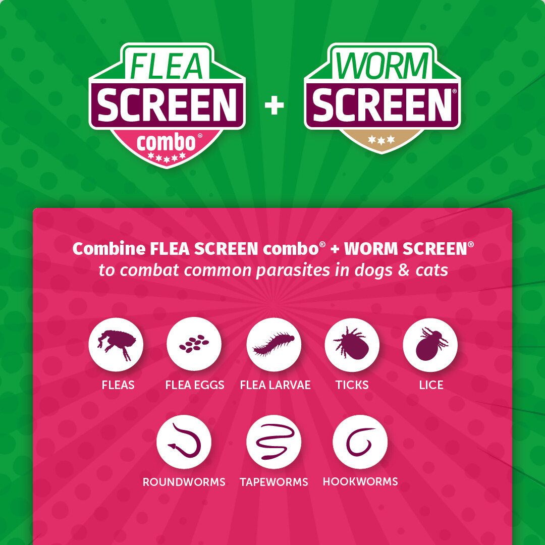 FLEA SCREEN combo Spot On for Dogs & Cats - Kills Fleas, Flea Eggs ...