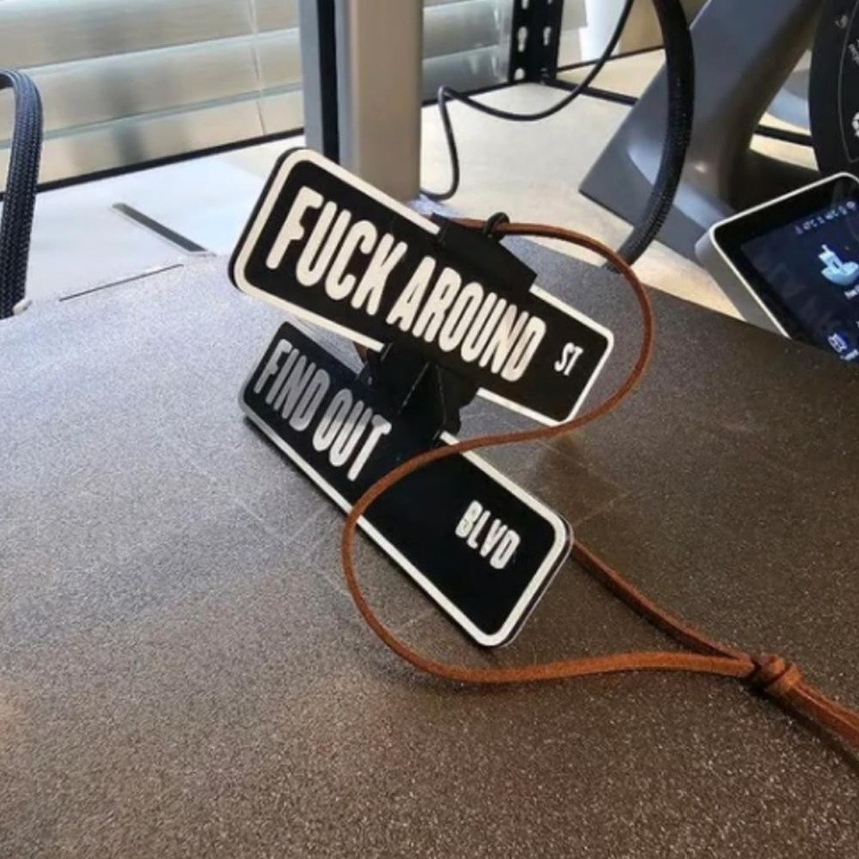 F Around Find out Street Sign Hanger, FAFO Sign Car Hanger.` | eBay