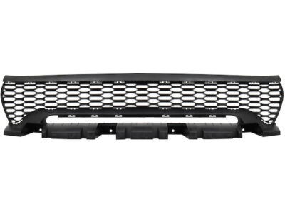 Front Action Crash Grille Assembly fits Dodge Charger 2020-2023 16NRDX ...