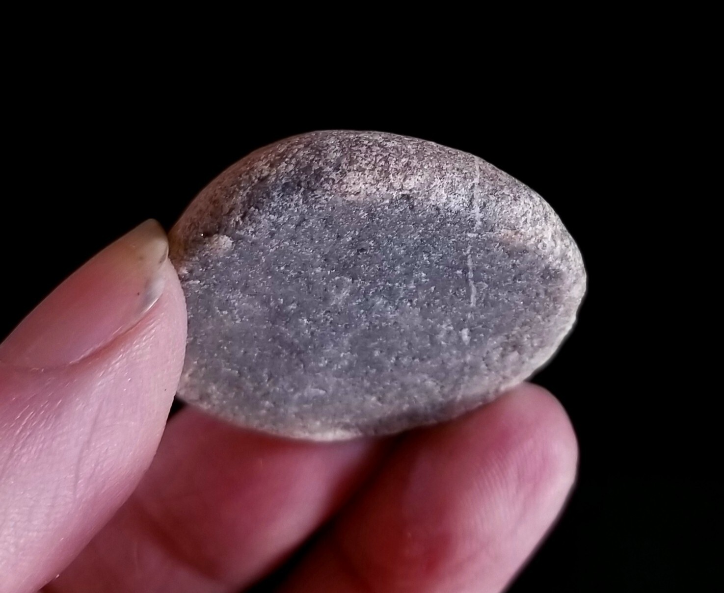 16 Calvert Cliffs MD Fossil Lot Shark Whale Dolphin Bone Teeth Early ...