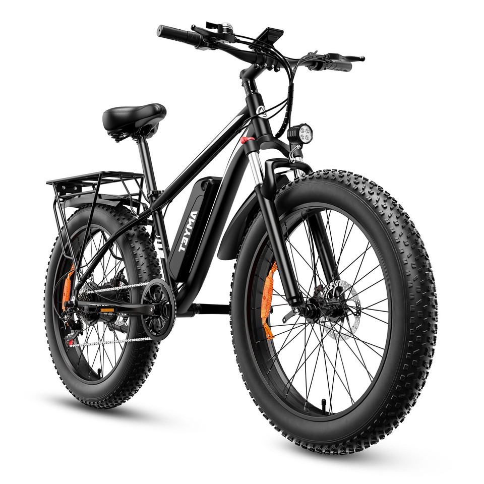 AMYET EB26 Electric Bike 1000W Electric Bicycle 48V 15AH Fat Tire ...