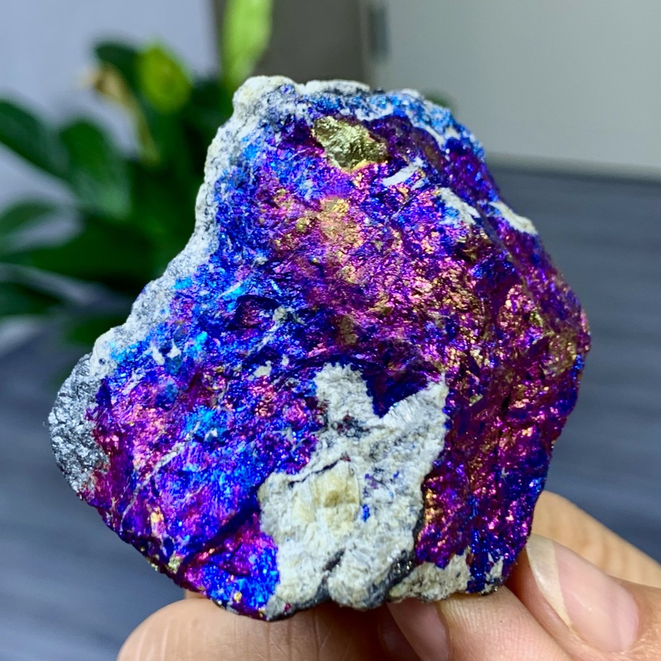 184G Rare Natural Beautiful Colorful Bornite Raw Mineral Specimen ...