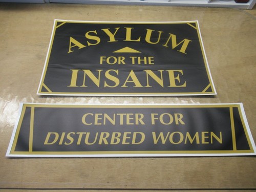 ASYLUM FOR THE INSANE / DISTURBED WOMEN SMD DORM ROOM SIGN FRATERNITY ...