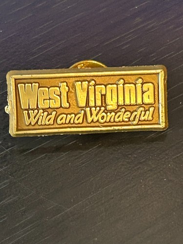 Vintage Collectible West Virginia Plastic Pin Back Lapel Pin Hat Pin | eBay