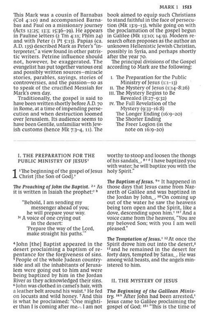 NABRE New American Bible, Revised Edition, Catholic Bible, Large Print ...