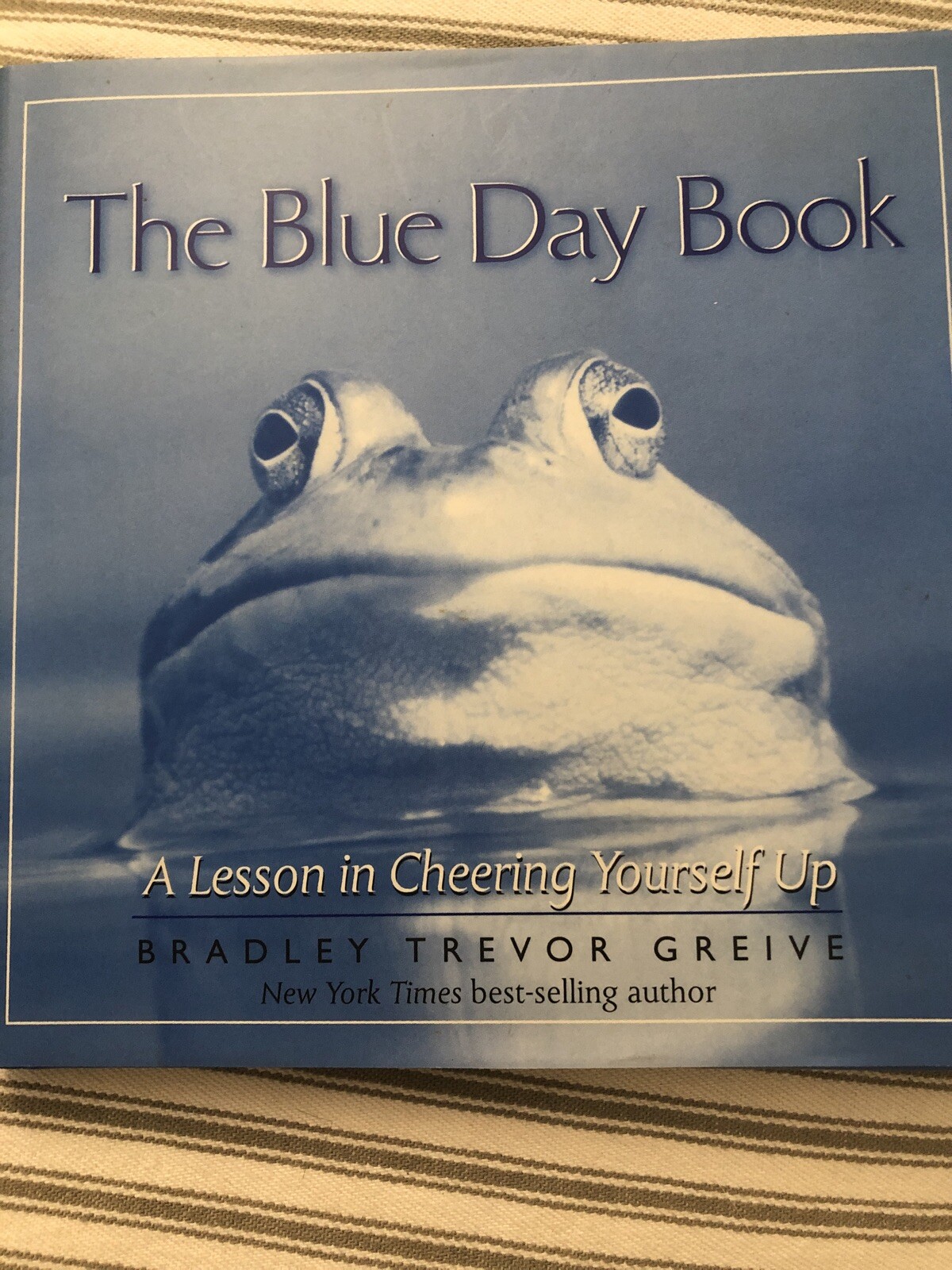 The Blue Day Book : A Lesson in Cheering Yourself Up by Bradley Trevor ...