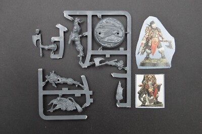Warhammer Darkoath Chieftain Gunnar Brand Slaves to Darkness AoS NO BOX ...