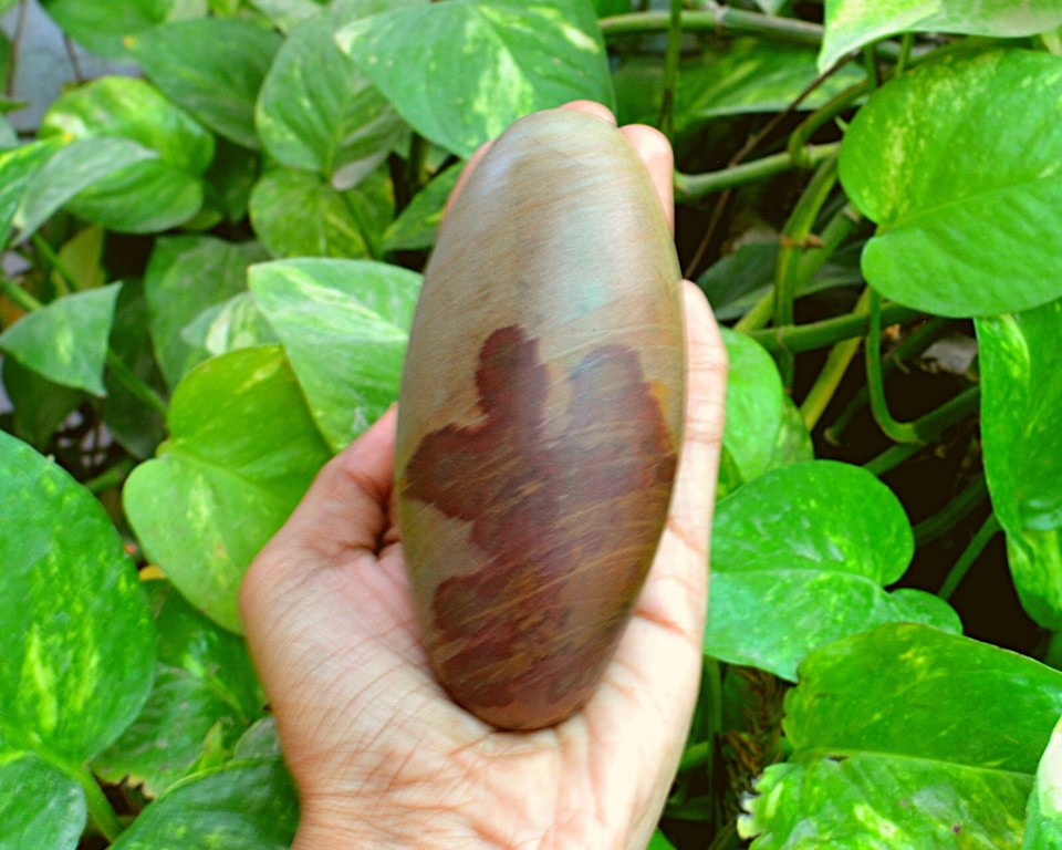 Unique Shiva Lingam Shiva Stone Shivalinga stone Narmada River India~I ...