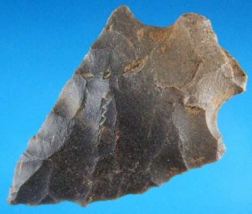 Super Fine Authentic Kentucky Shawnee Springs Kirk Stemmed Point ...