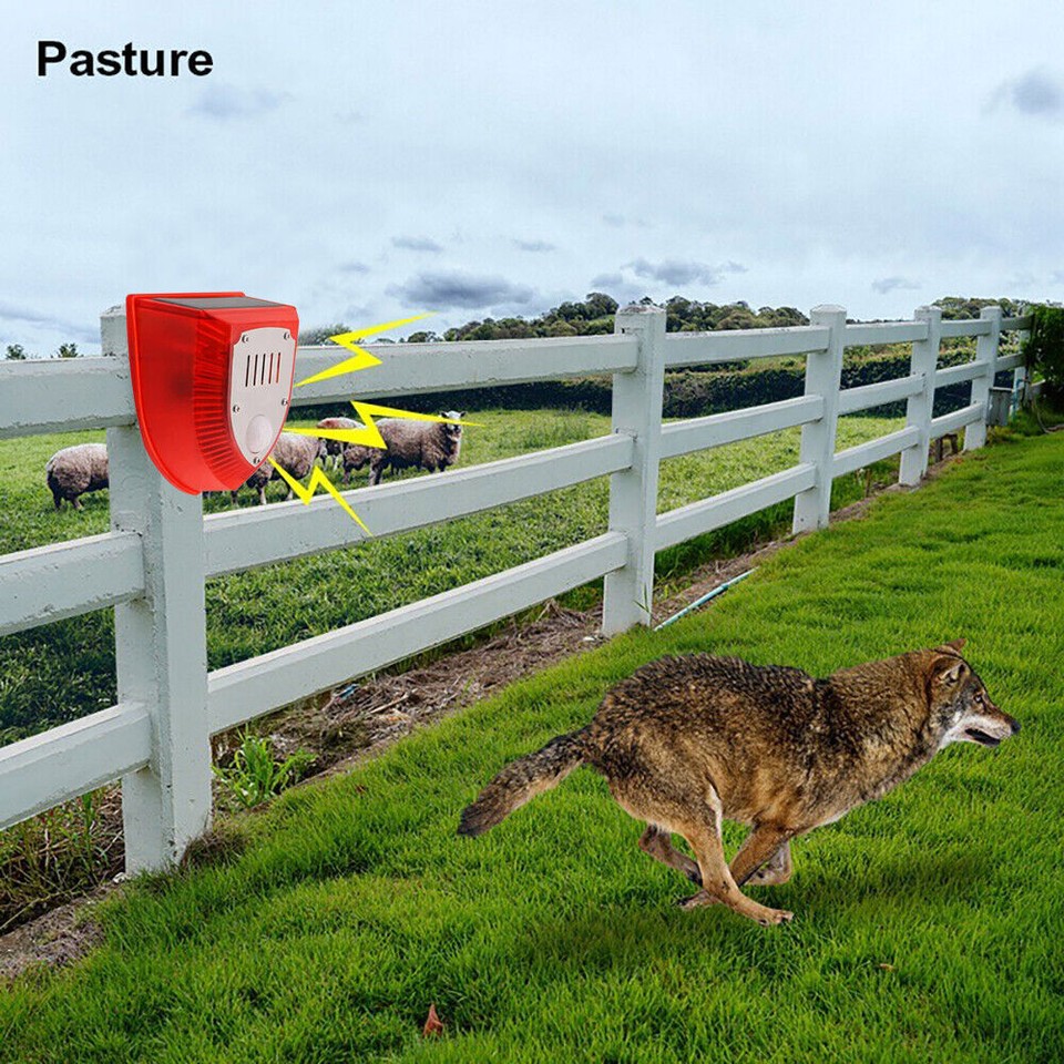 Solar Sound Light Alarm Motion Sensor Outdoor Garden Dog Barking for ...