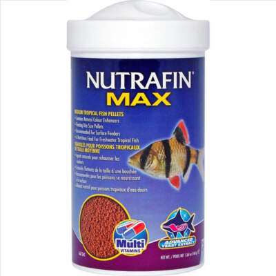 Nutrafin Max Medium Tropical Fish Pellets 160g Floating | eBay Australia