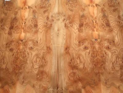 Rüster Wurzelholz Furnier Furnierholz 90x28-30cm 2 Blätter | eBay.de