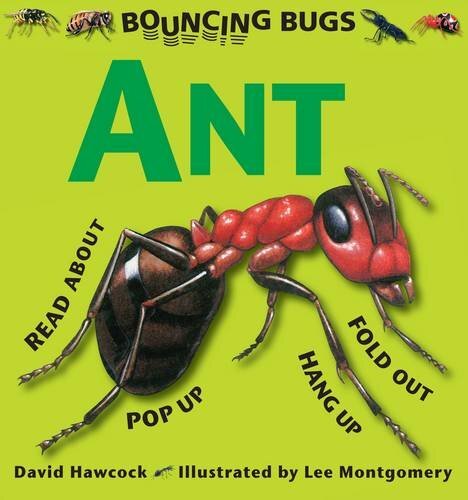 Ant (Bouncing Bugs) by Montgomery, Lee Book The Cheap Fast Free Post ...