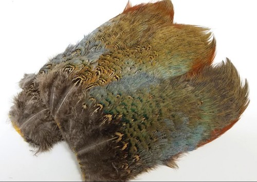 Fish Hunter RINGNECK PHEASANT RUMP PATCH Fly Tying Feathers | eBay