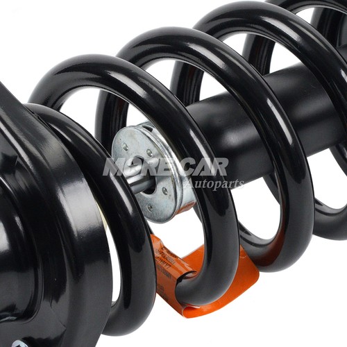 2Pc Rear Strut Spring Shock Absorber Assembly fit 2002-2006 Honda CR-V ...