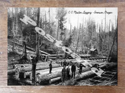 Historic C C Masten Logging - Svensen, Oregon Logging Postcard | eBay