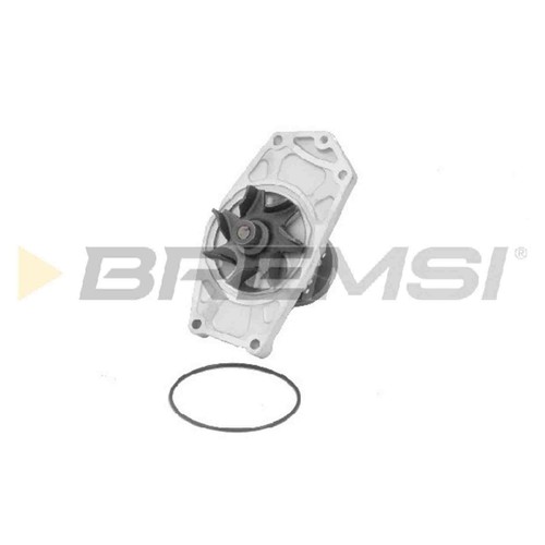 Pompa Acqua Jaguar E-type Convertible Daf 44 Wp0510 Me993928 Bremsi ...