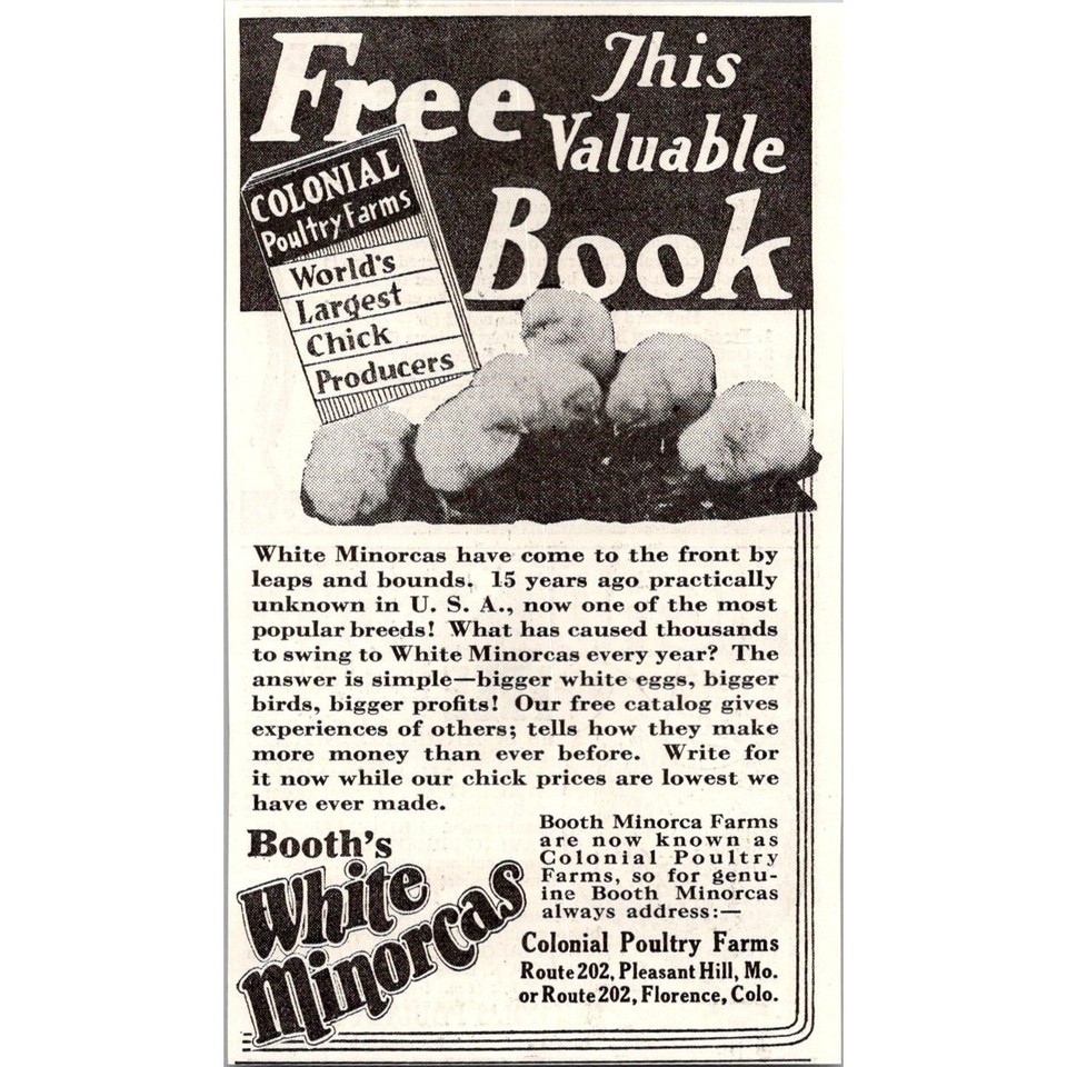 Colonial Poultry Farms Booth's White Minorcas Pleasant Hill MO 1934 Ad ...