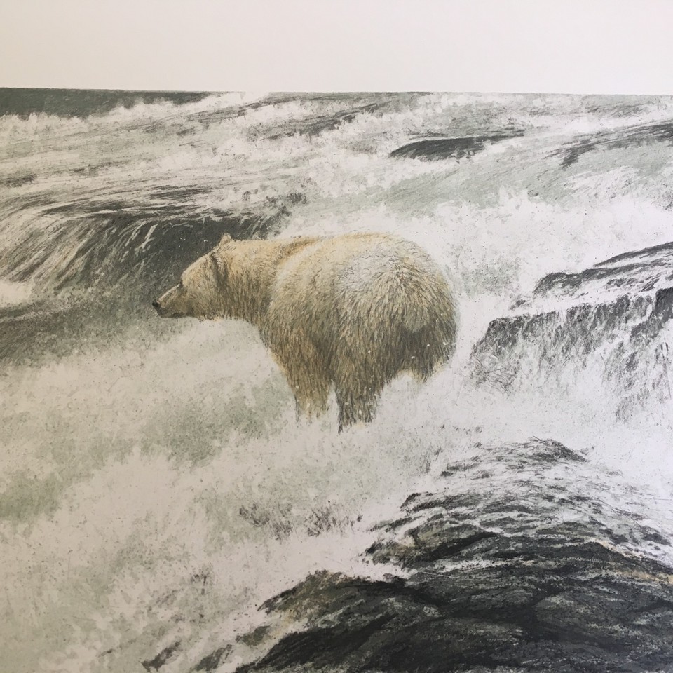 Limited Edition Print-Spirit Bear-ROBERT BATEMAN | eBay