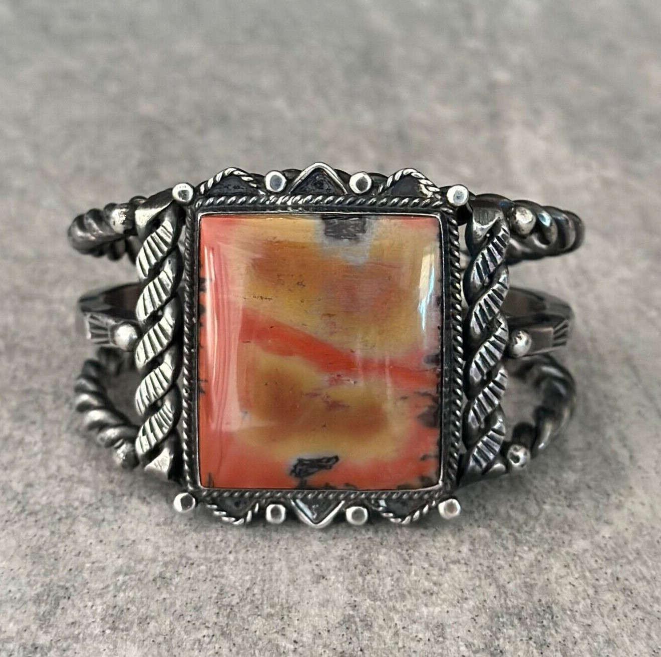 Vintage BIG Native American Navajo Petrified Wood Aga… - Gem