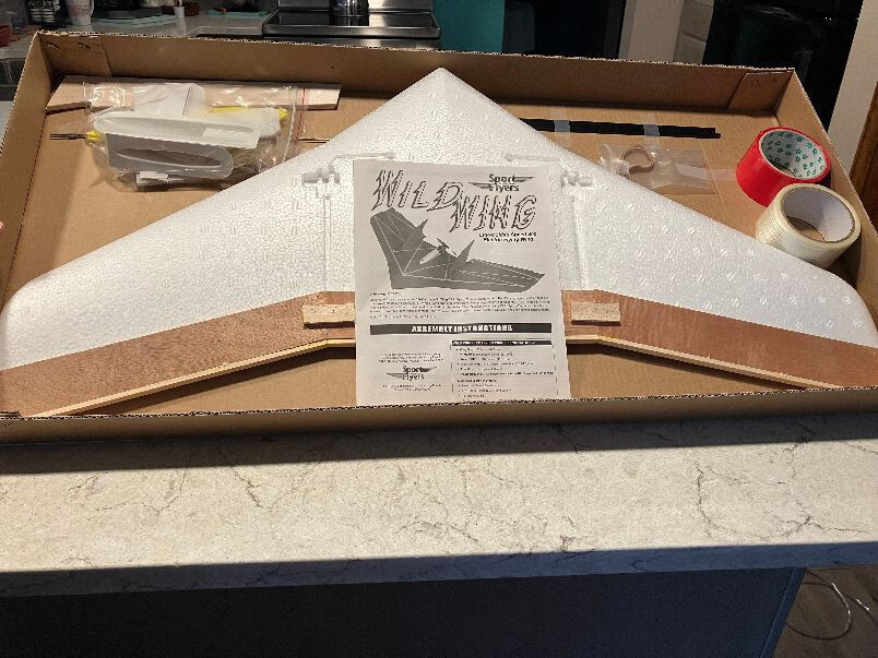 Sport Flyers Wild Wing RC Pusher Prop Jet Airplane ARF Kit | eBay