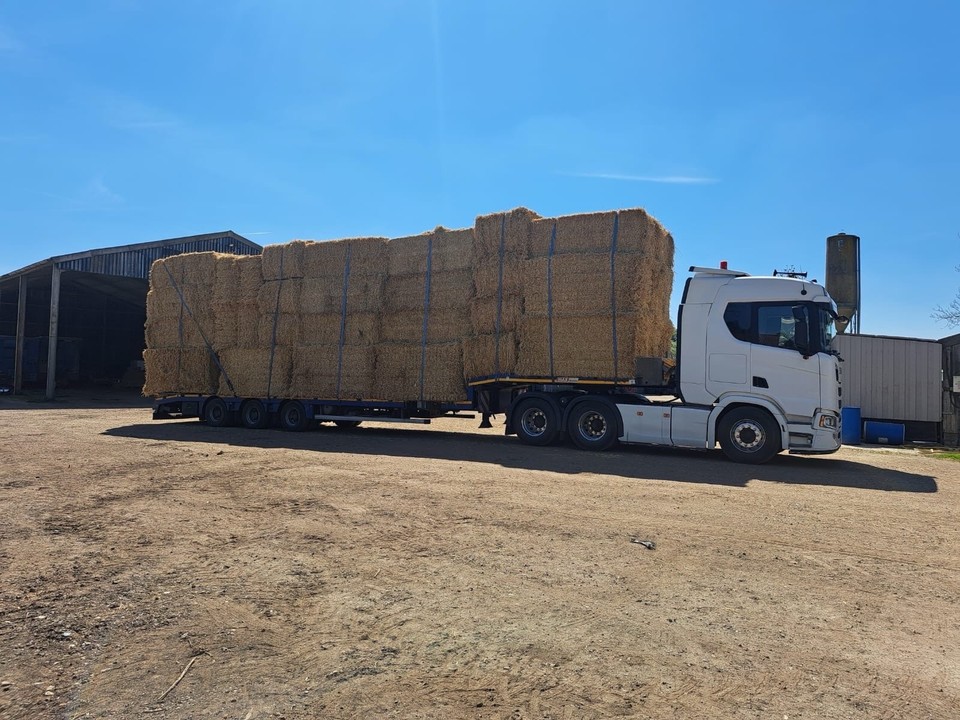 2025 Straw Bales🌾Barley & Wheat🌾Square Bales 120x90, Animal Bedding ...