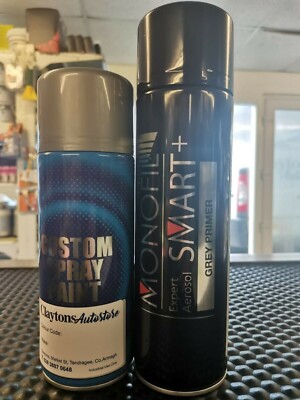 AEROSOL PAINT LACQUER PRIMER FOR AUDI LK3A PAPRIKA RED | eBay UK